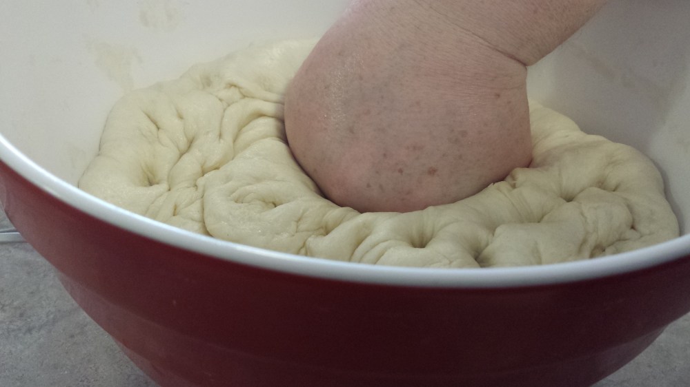 Recipe Post: Bread! – BirdHouse Diaries