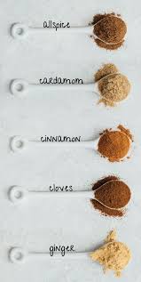 Top Ten List: Introduction to Chai (8th of 10) – BirdHouse Diaries