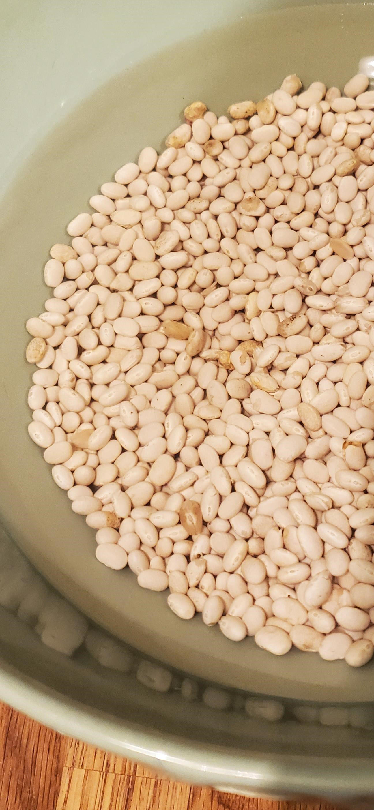 Back to Basics: Pantry Staples – Beans – BirdHouse Diaries