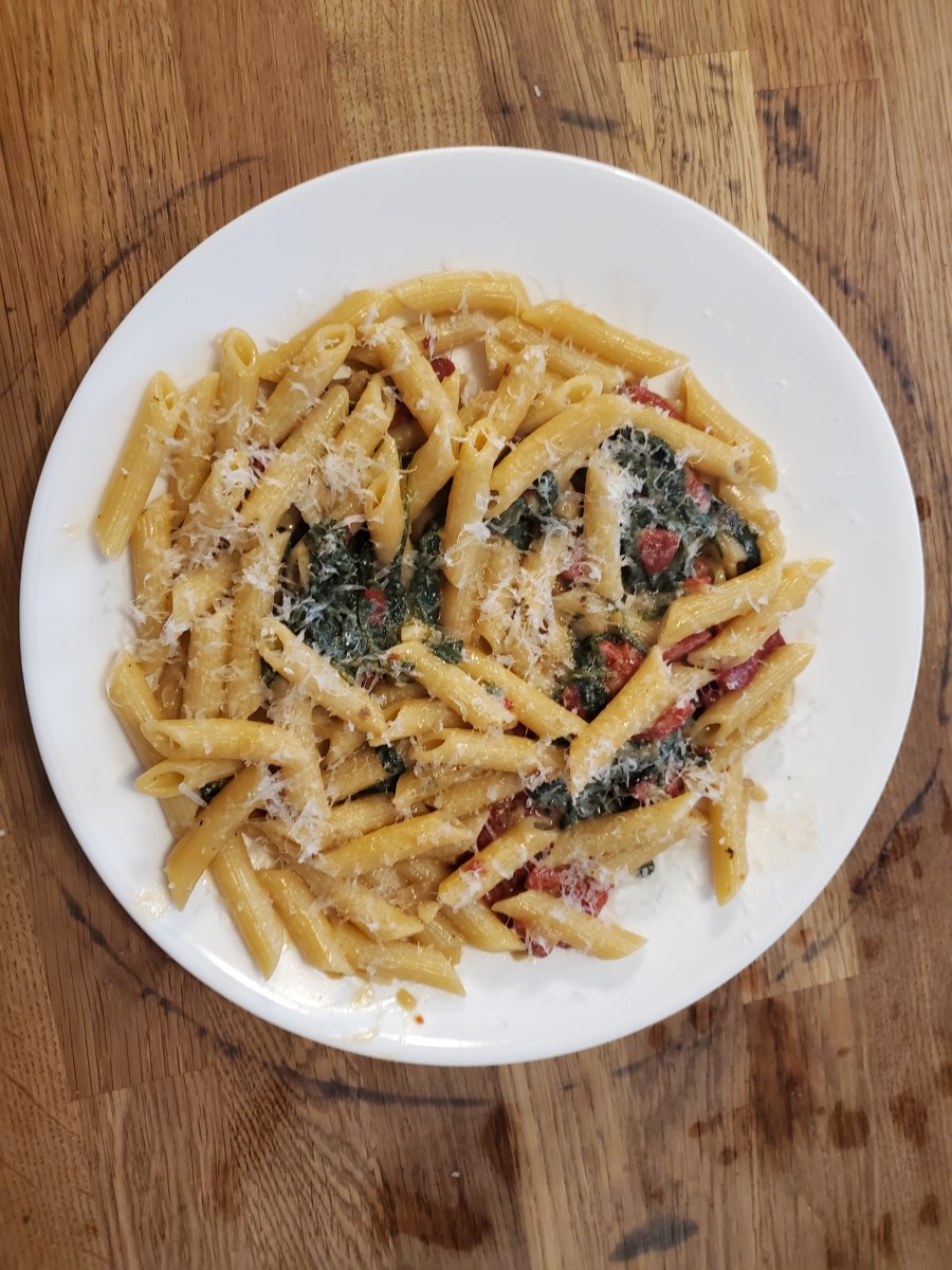 Recipe Review: Delish’s Creamy Roasted Red Pepper Penne – BirdHouse Diaries